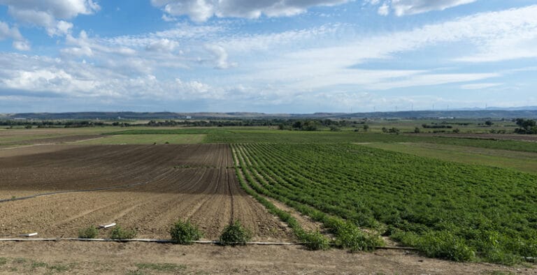 Customers - WBI Energy