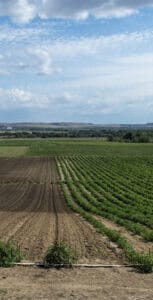 What We Do - WBI Energy